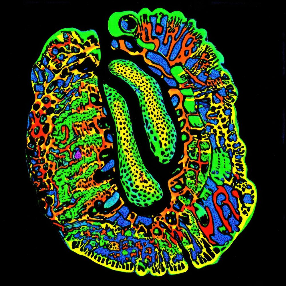Animal cell art illustration illustrated. | Free Photo Illustration ...