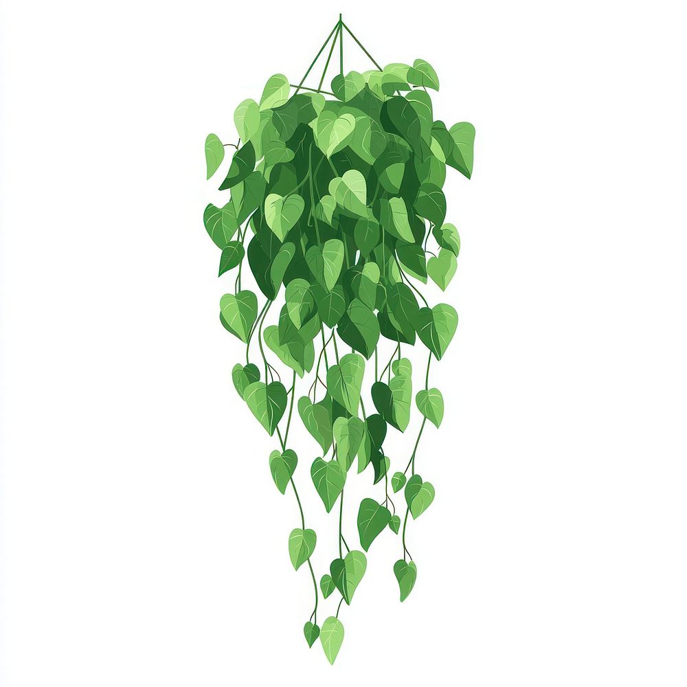 Long hanging jungle vines illustration | Free Photo Illustration - rawpixel