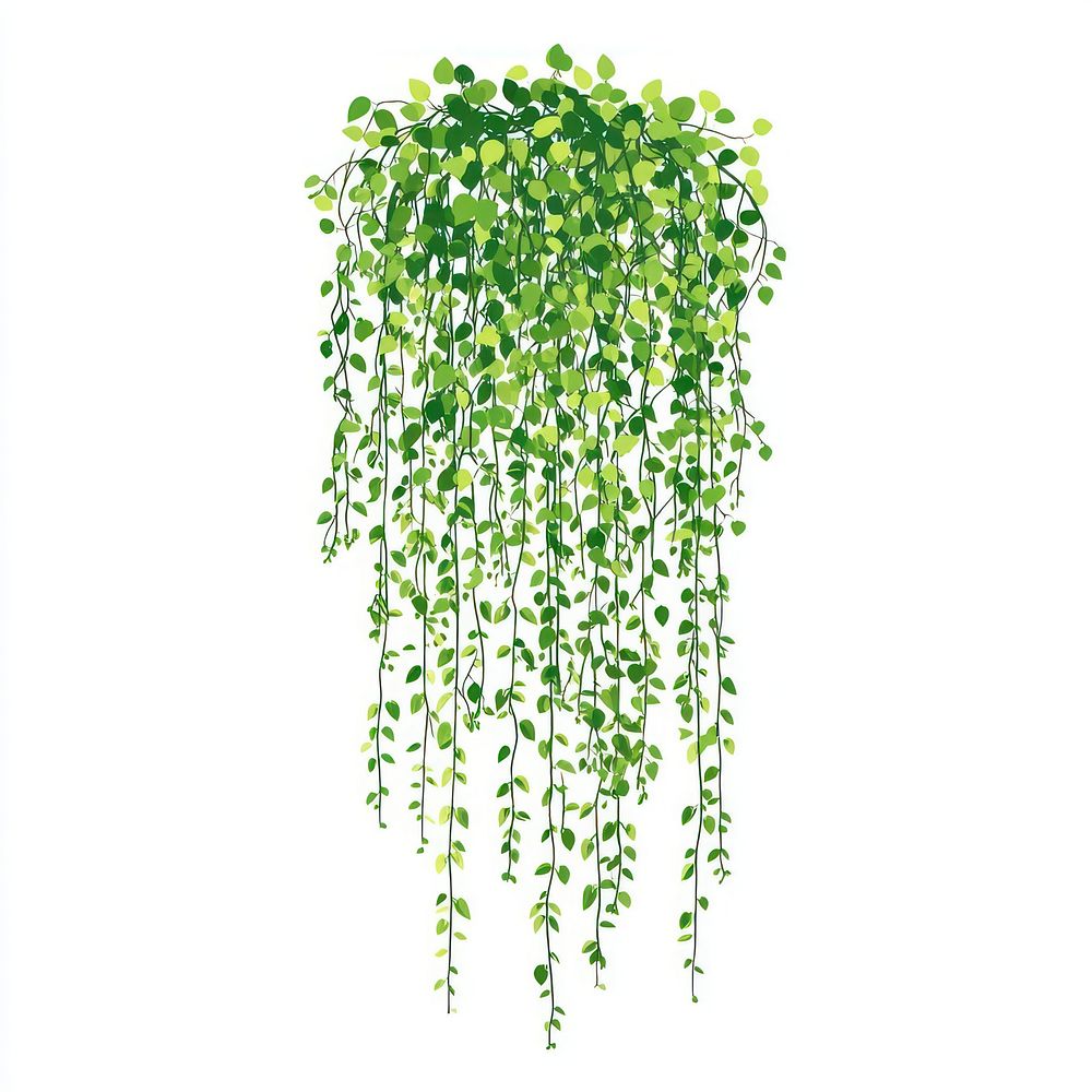 Long hanging jungle vines illustration | Free Photo Illustration - rawpixel