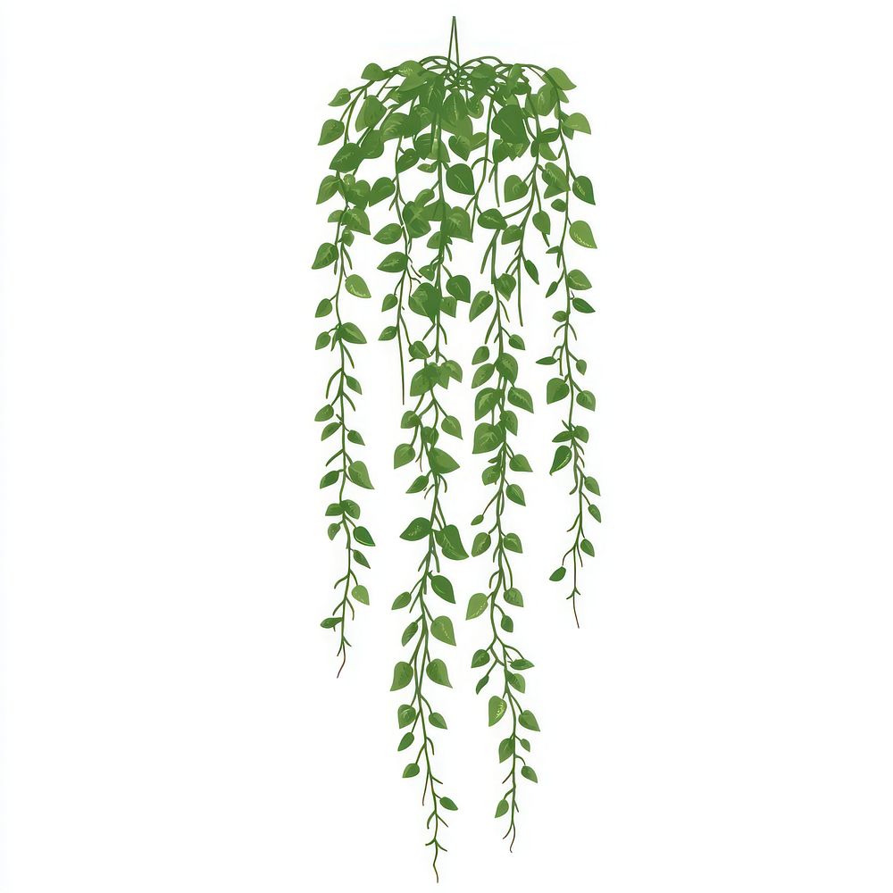 Long hanging jungle vines illustration | Free Photo Illustration - rawpixel