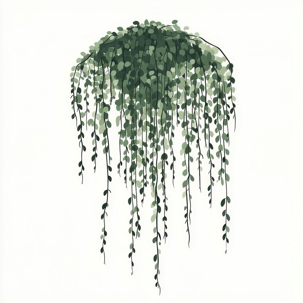 Long hanging jungle vines illustration | Free Photo Illustration - rawpixel
