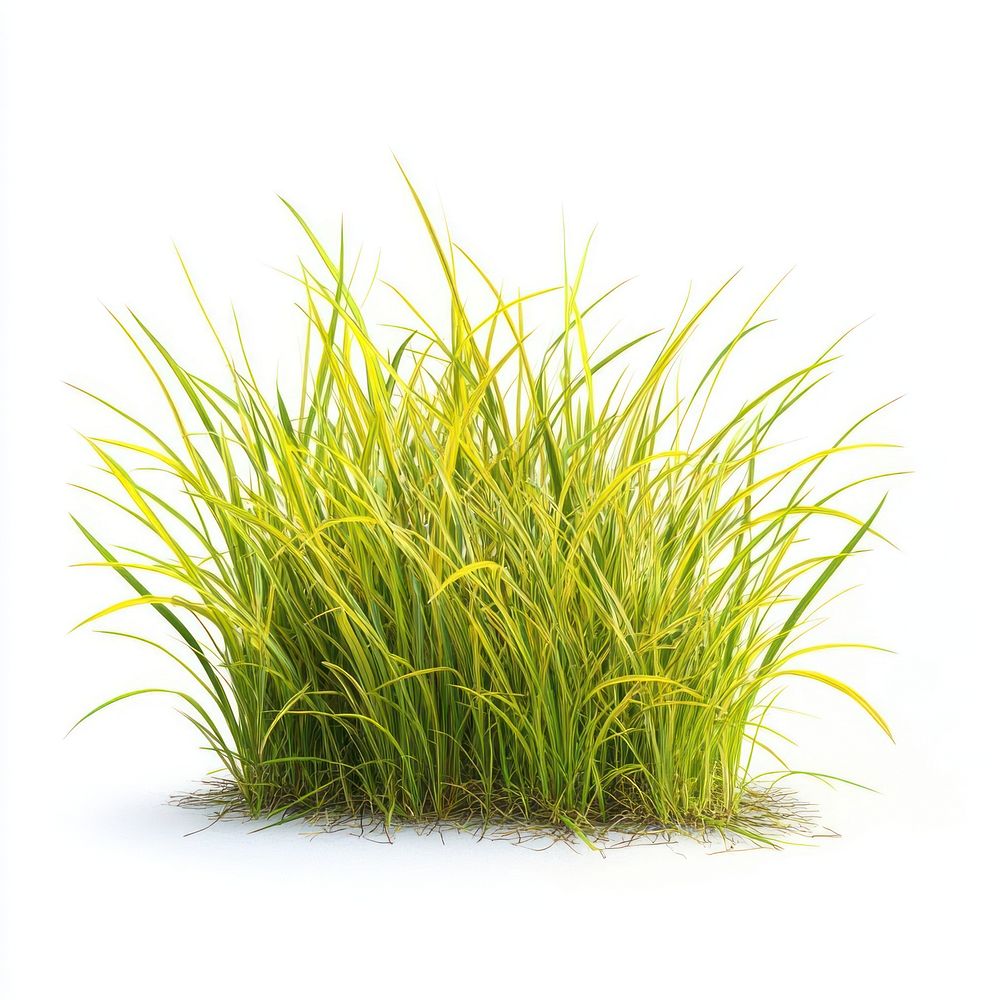Yellow green grass patch background | Free Photo - rawpixel