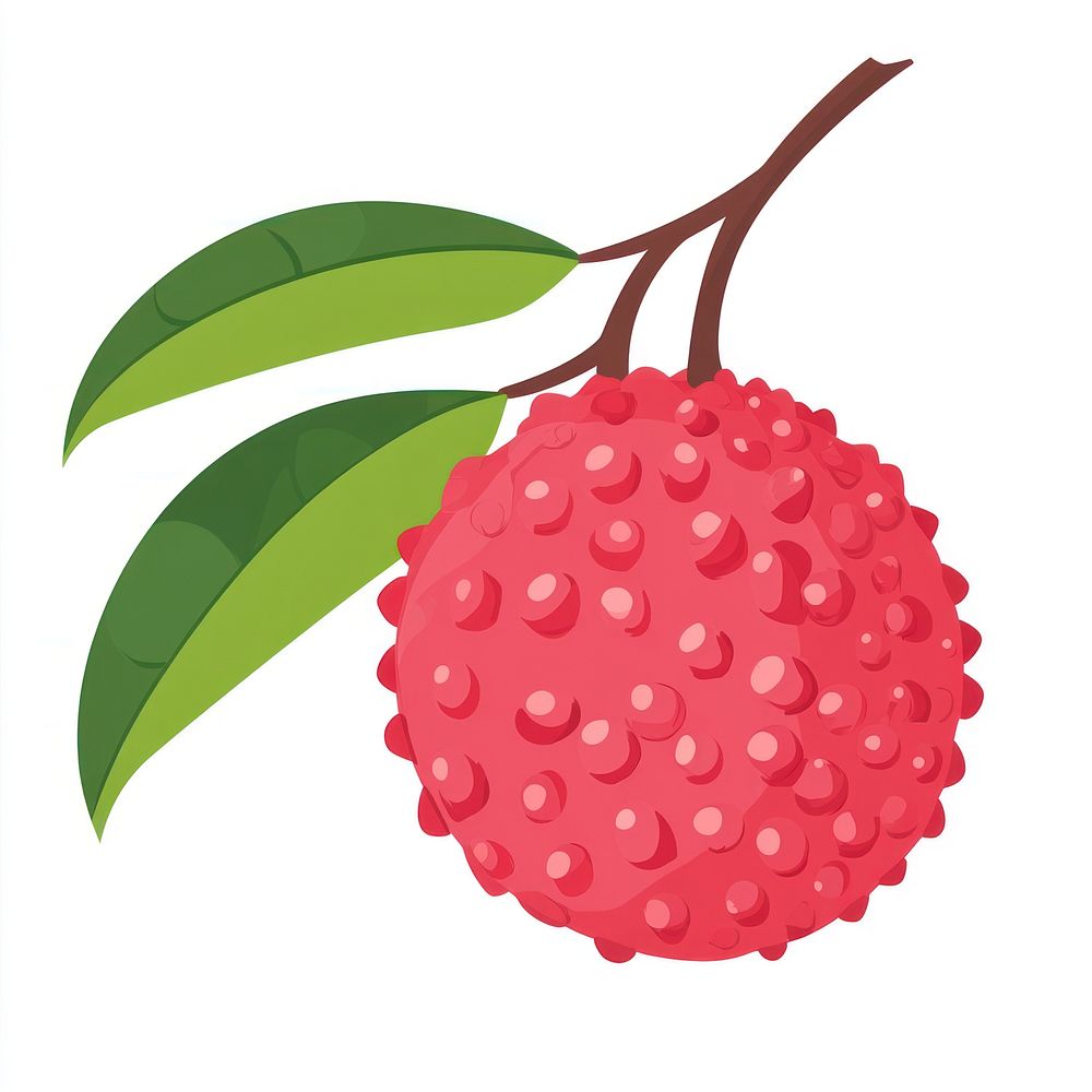 Lychee illustration fruit art. | Free Photo Illustration - rawpixel