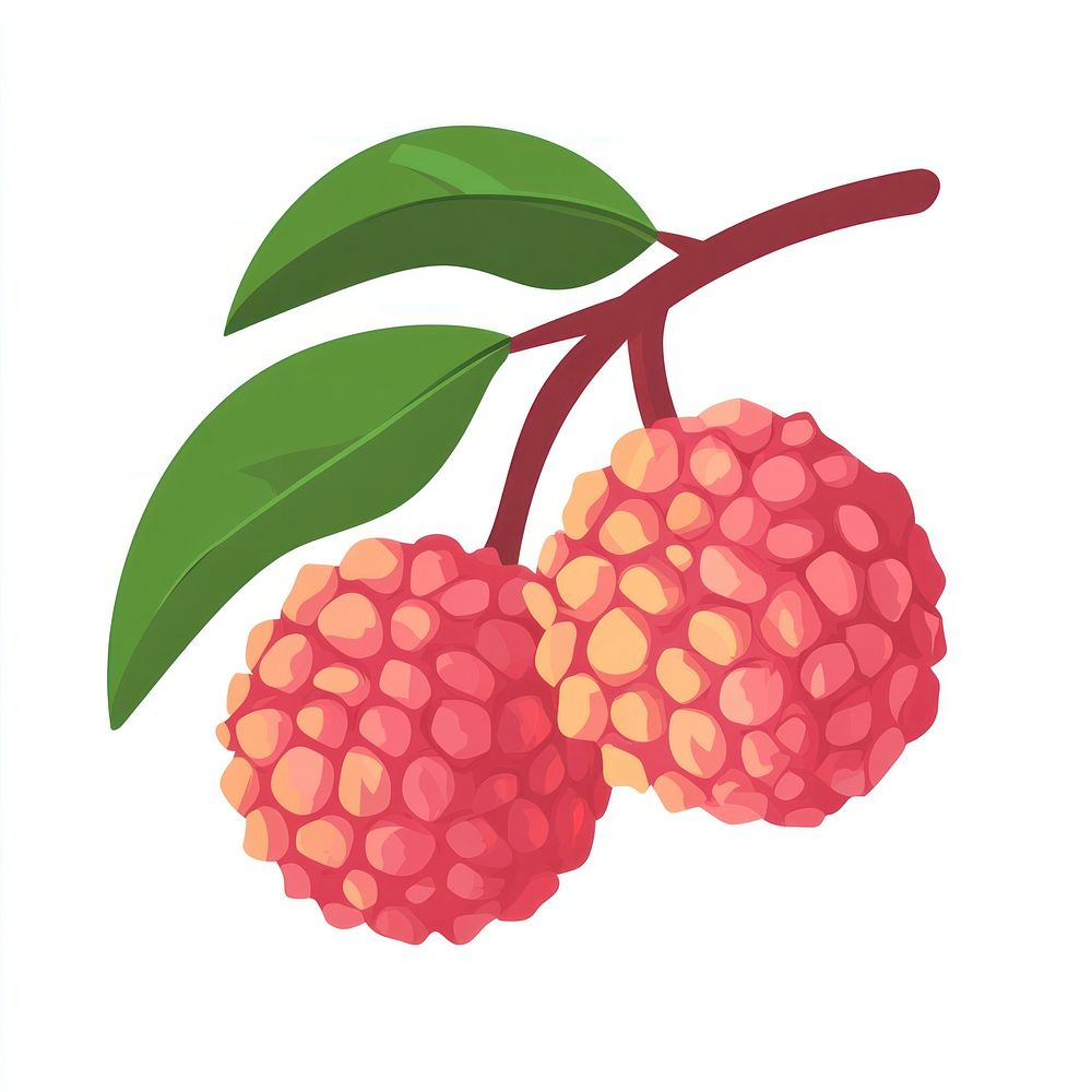 Lychee illustration fruit ammunition. | Free Photo Illustration - rawpixel