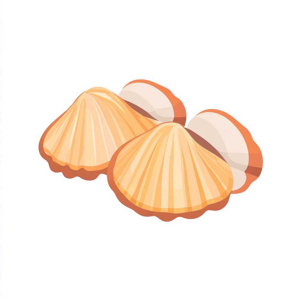 Clams clam illustration seashell | Free Photo Illustration - rawpixel