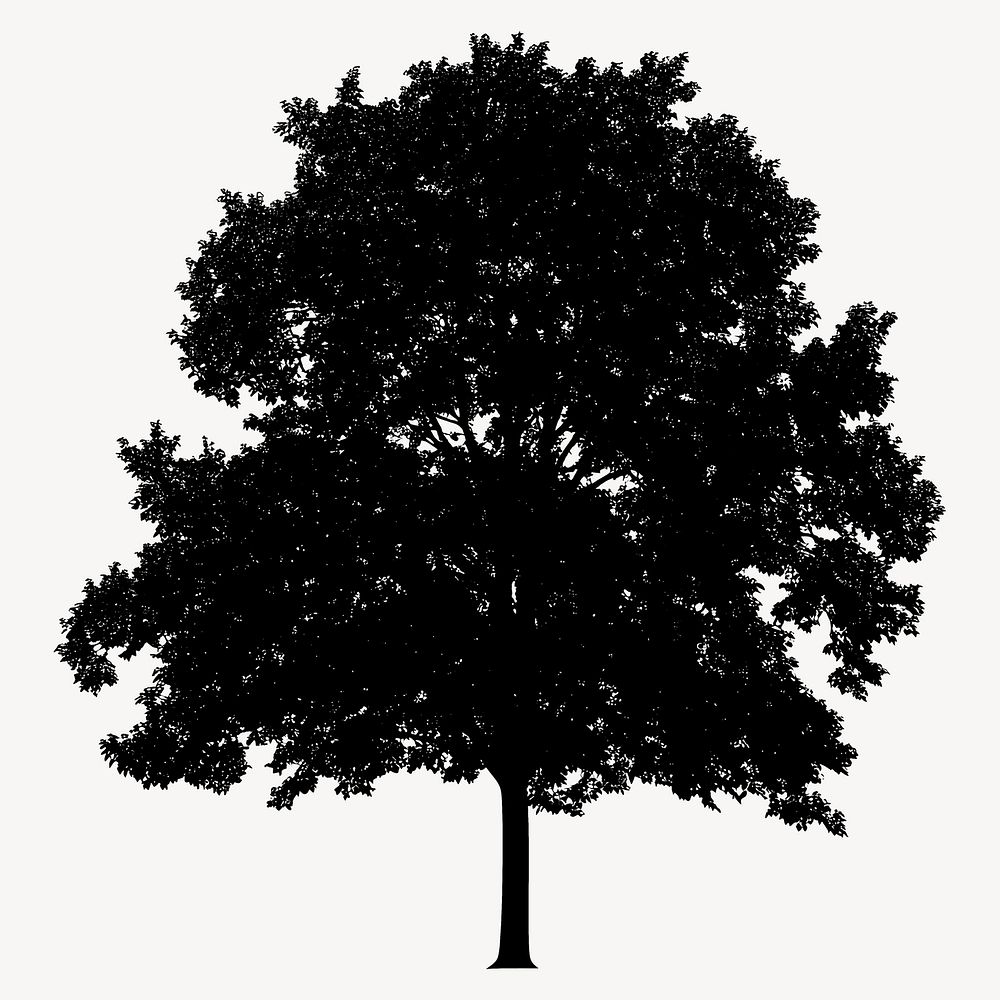Maple tree outline silhouette white | Free Vector - rawpixel