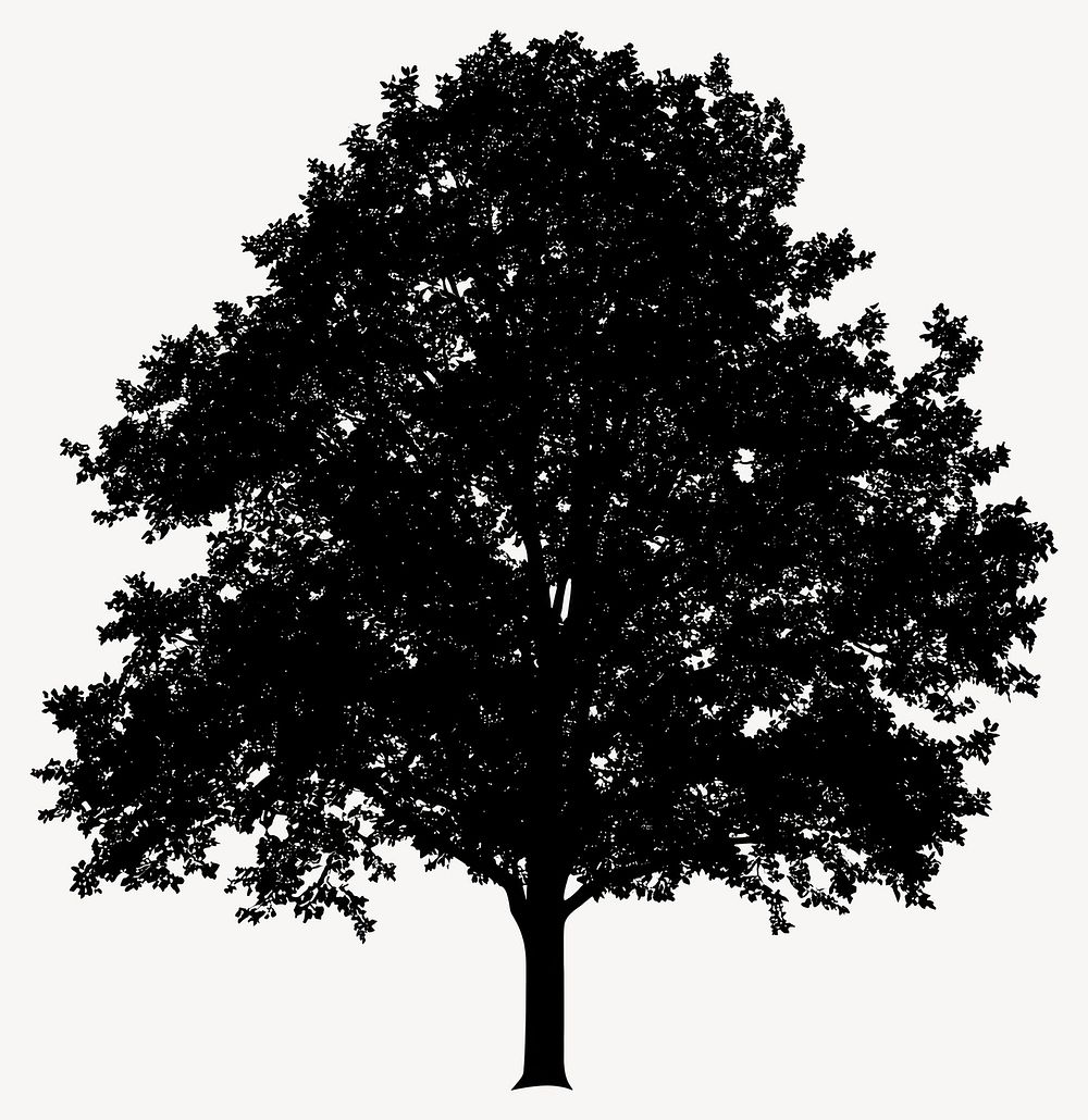 Maple tree outline silhouette white | Free Vector - rawpixel