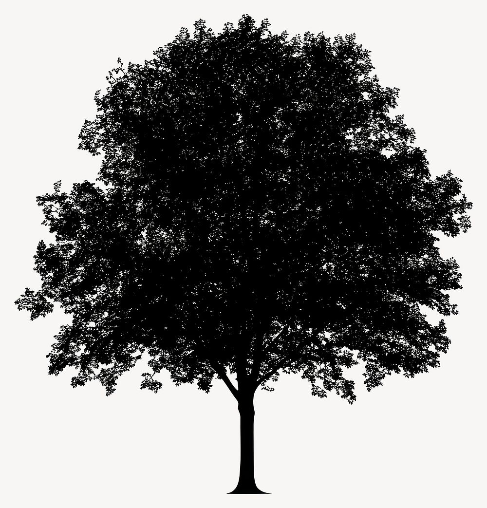 Maple tree outline silhouette white | Free Vector - rawpixel
