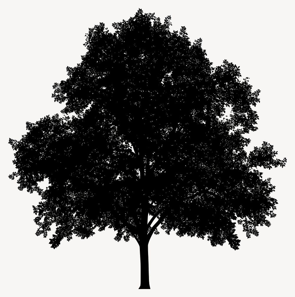 Maple tree outline silhouette white | Free Vector - rawpixel