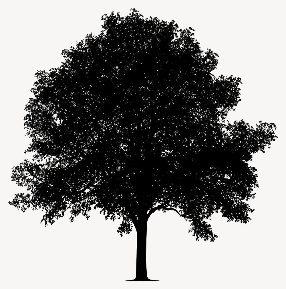 Maple tree outline silhouette white | Free Vector - rawpixel