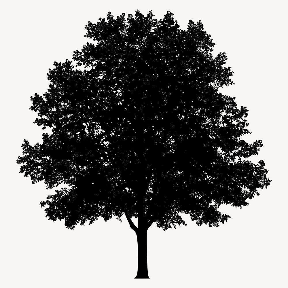 Maple tree outline silhouette white | Free Vector - rawpixel