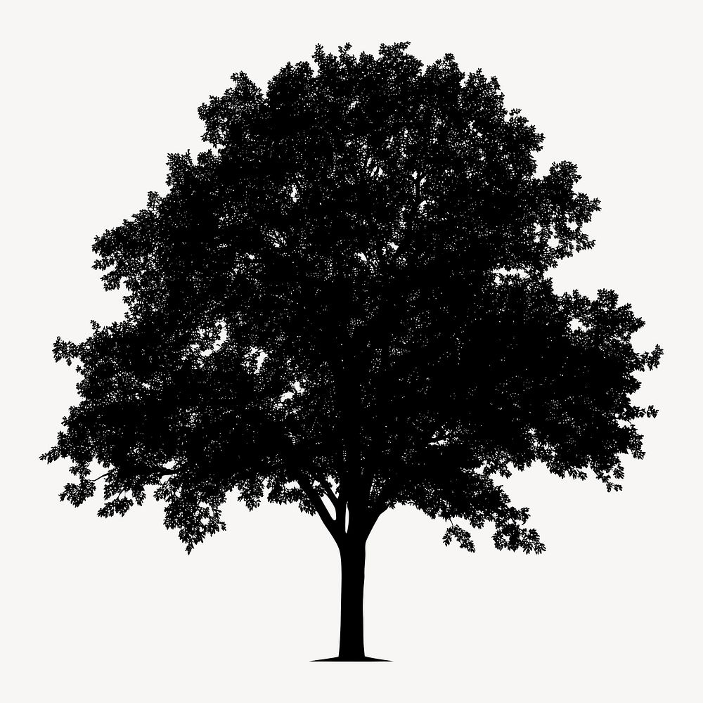Maple tree outline silhouette white | Free Vector - rawpixel