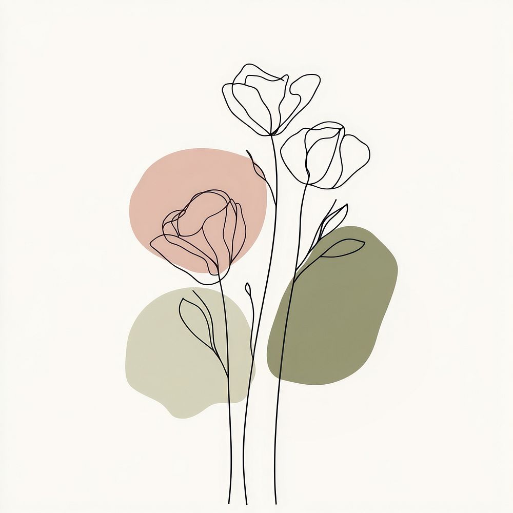 Abstract rose line art illustration | Free Photo Illustration - rawpixel