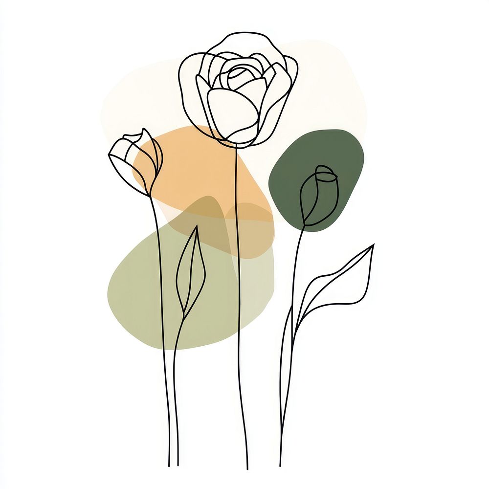 Abstract rose line art drawing | Free Photo Illustration - rawpixel