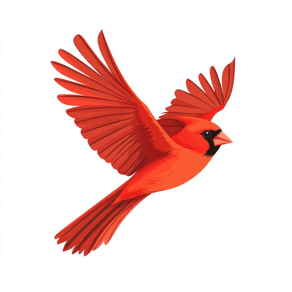 Ruby Red Cardinal Flying cardinal | Free Photo Illustration - rawpixel