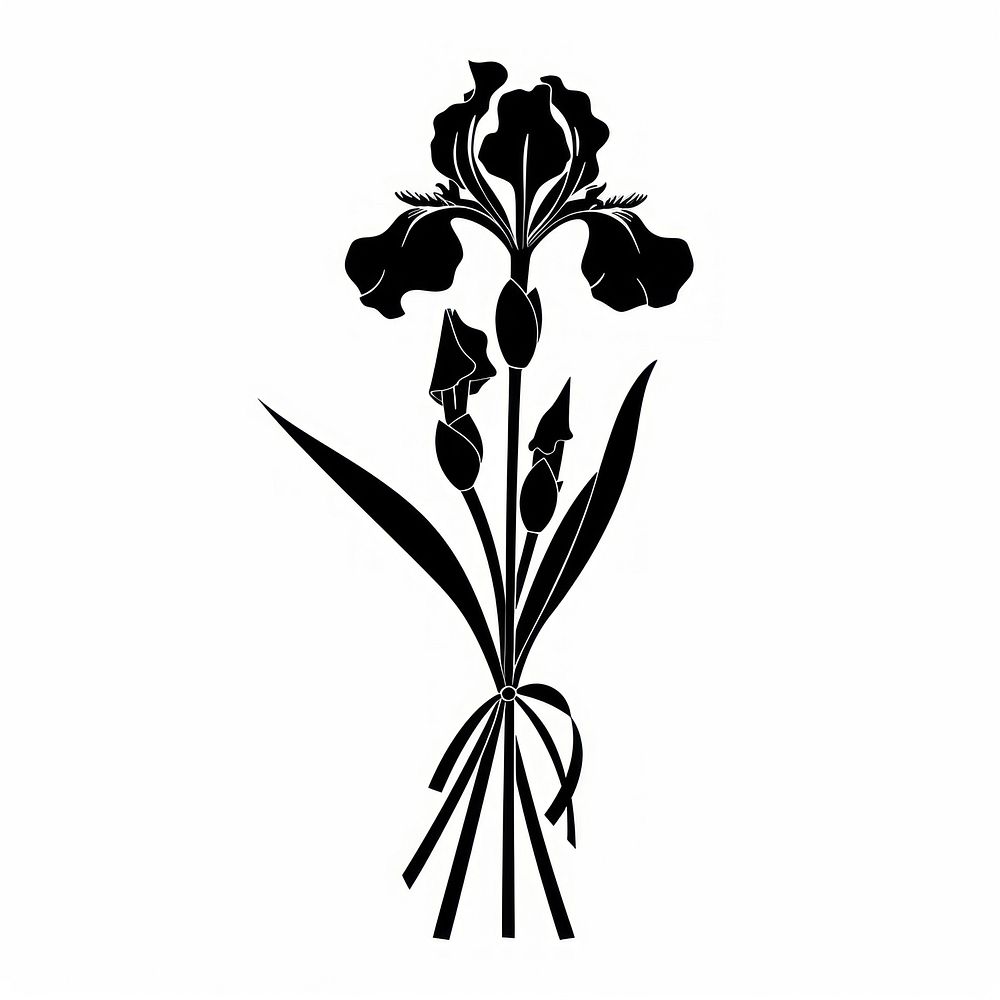 Iris flower silhouette black white. | Free Photo Illustration - rawpixel