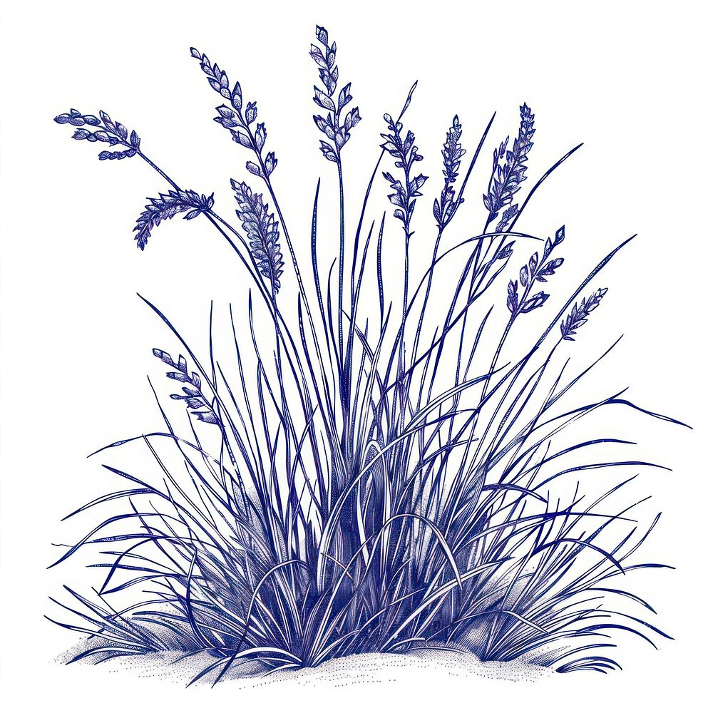 Clump grass drawing art illustration. | Free Photo Illustration - rawpixel
