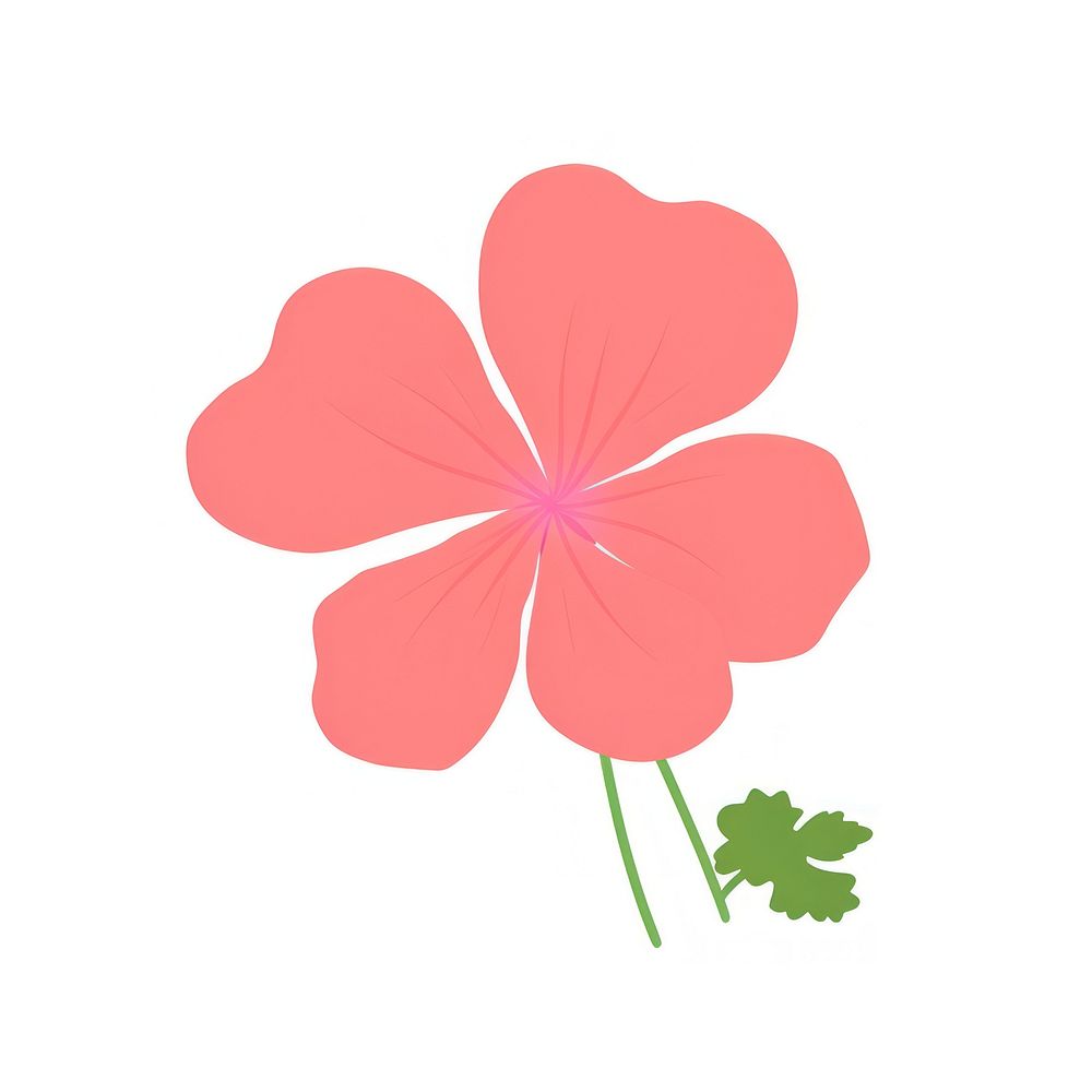 Geranium flower illustration geranium simple. | Free Photo Illustration ...