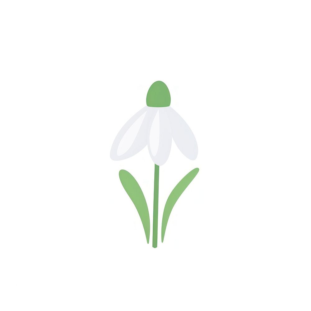 Snowdrop flower illustration snowdrop simple. | Free Photo Illustration ...