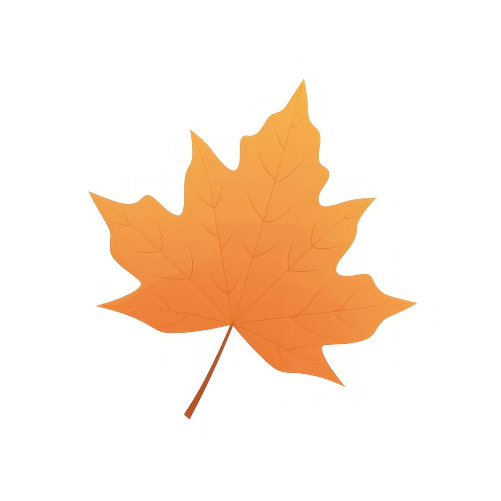 Maple leaf maple illustration maple | Free Photo Illustration - rawpixel