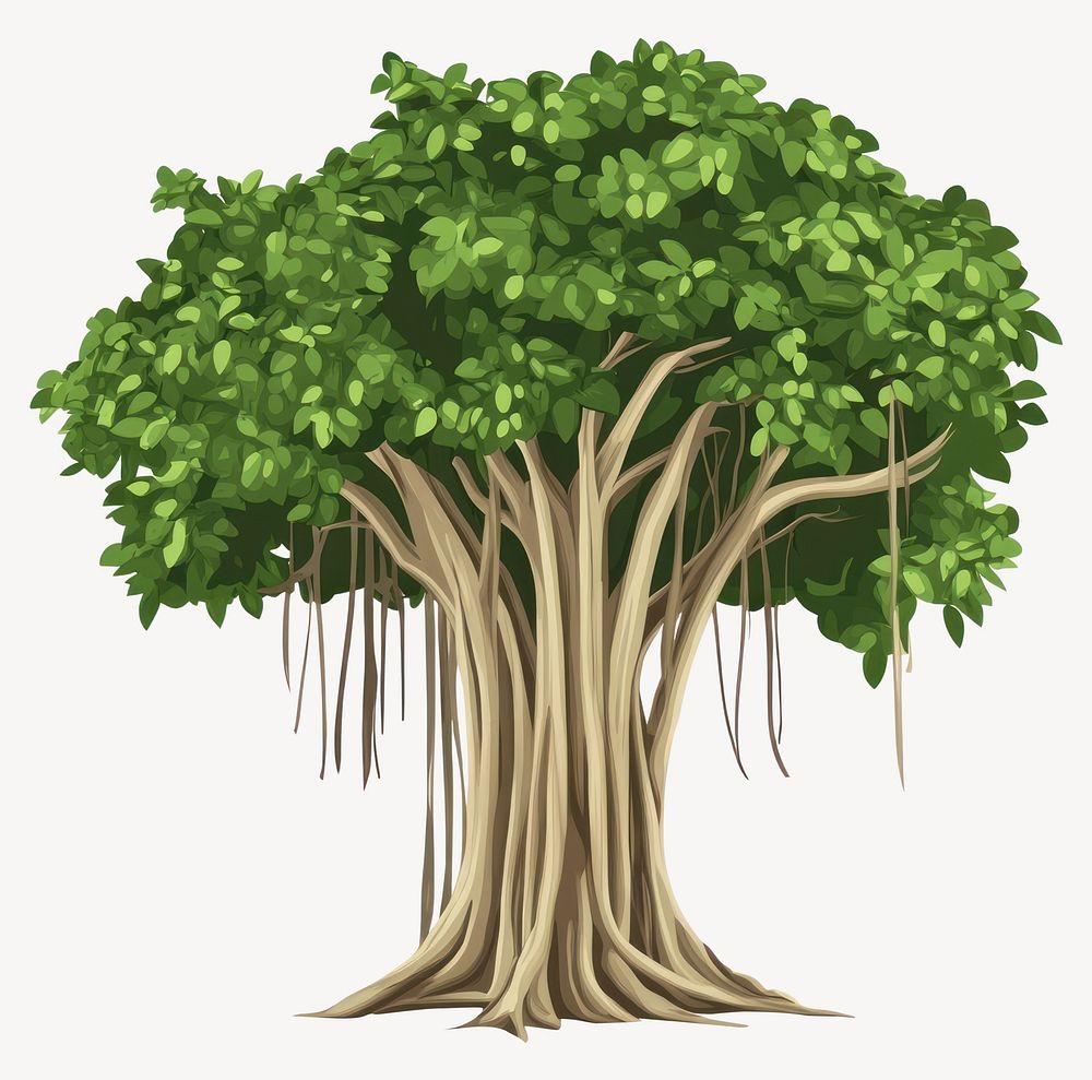 Banyan Trees Images | Free Photos, PNG Stickers, Wallpapers ...