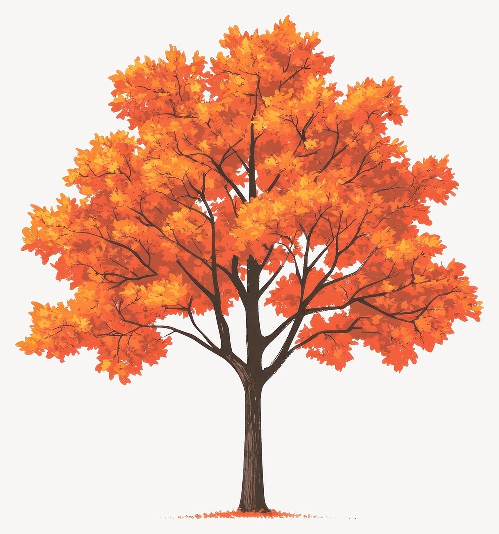 Maple tree illustration leaves leaf | Free Vector Illustration - rawpixel