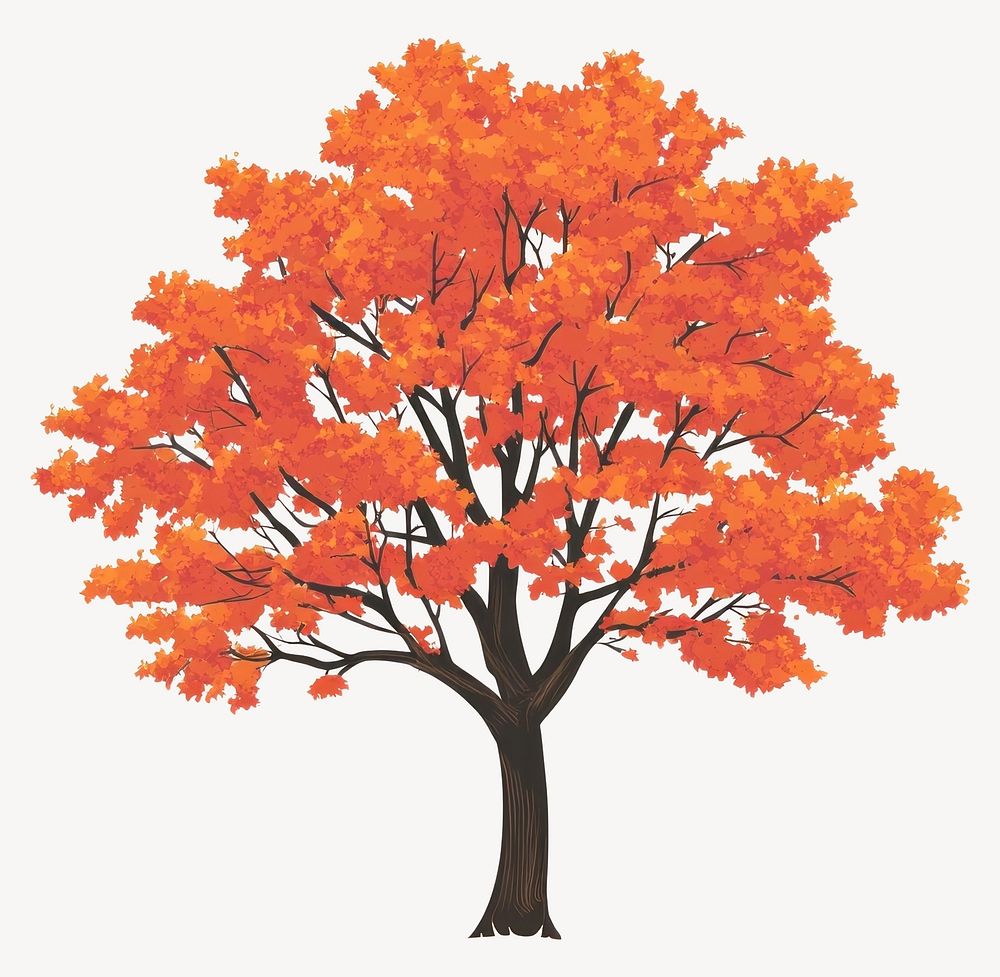 Maple tree illustration leaves leaf | Free Vector Illustration - rawpixel