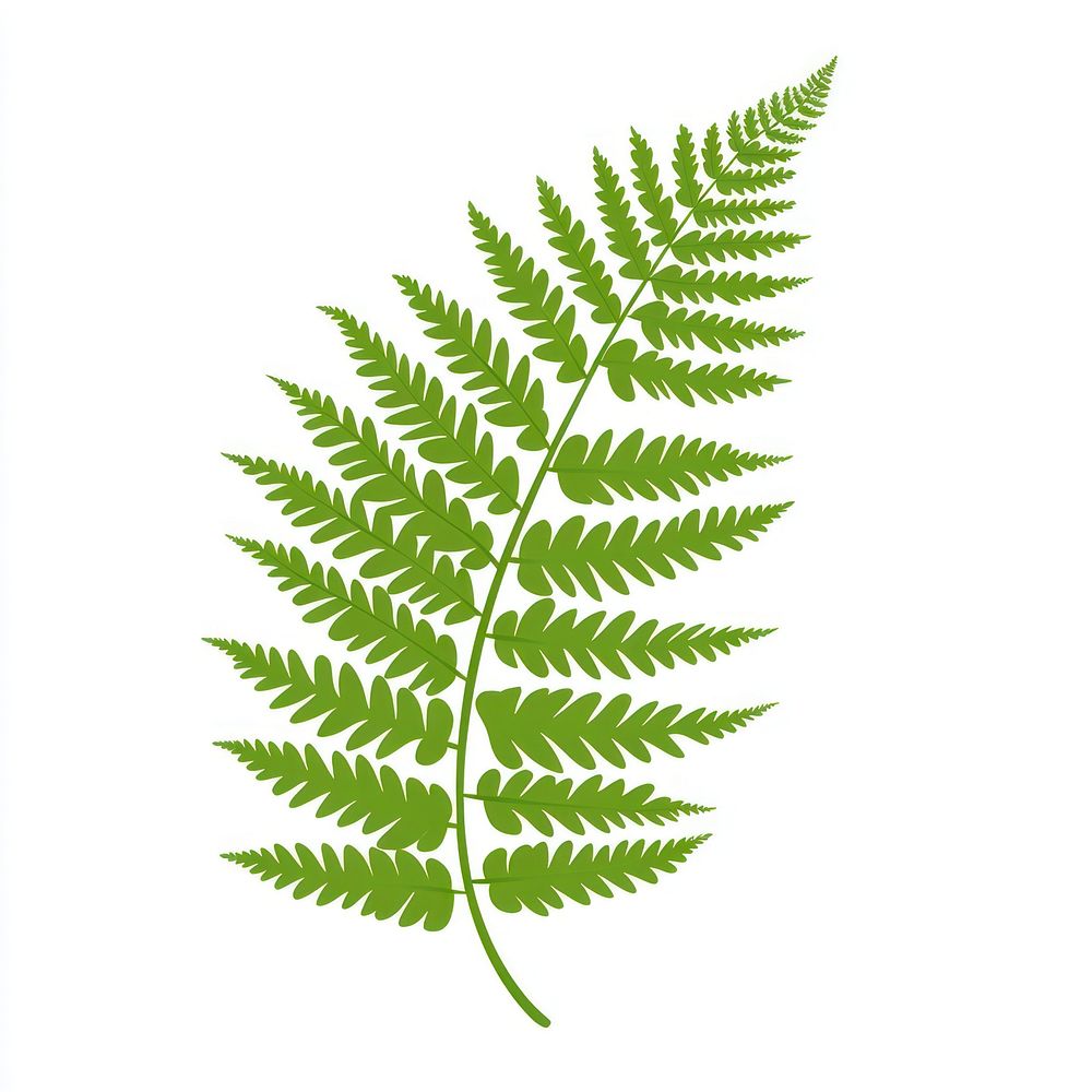 Green curved fern leaf illustration | Free Photo Illustration - rawpixel