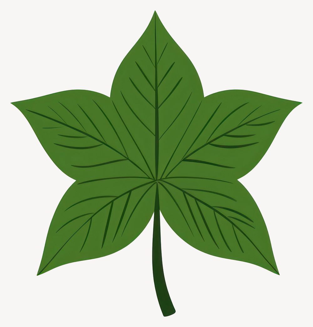 Green star shape leaf illustration | Free Vector - rawpixel