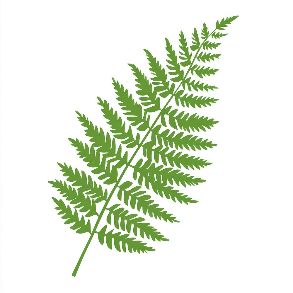 Green curved fern leaf illustration | Free Photo Illustration - rawpixel