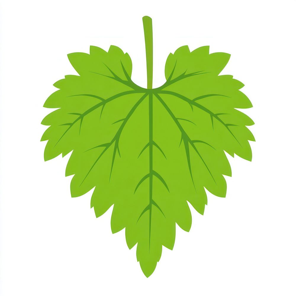 Bold green grape leaf illustration | Free Photo Illustration - rawpixel