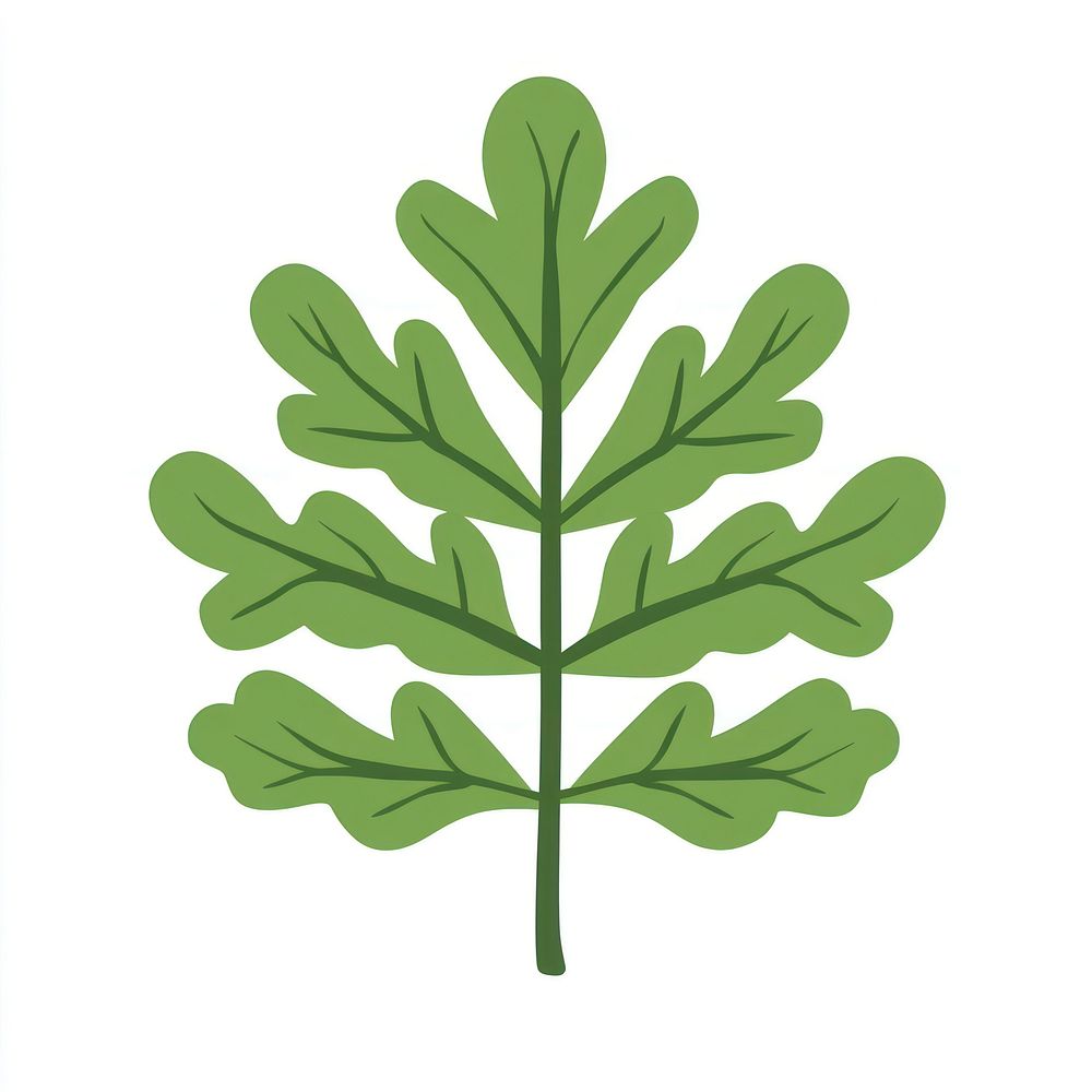 Green reniform leaf illustration vegetable | Free Photo Illustration ...