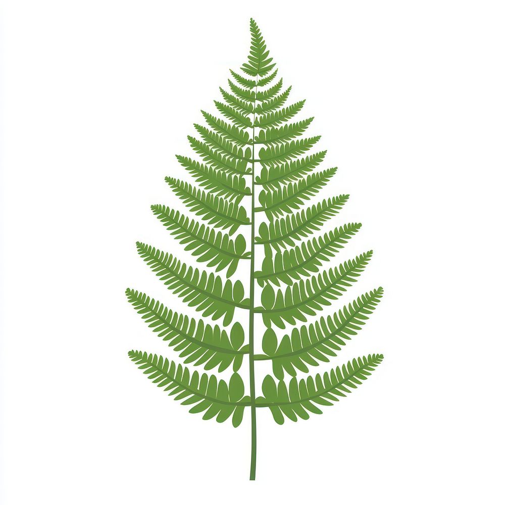 Green long fern leaf illustration | Free Photo Illustration - rawpixel