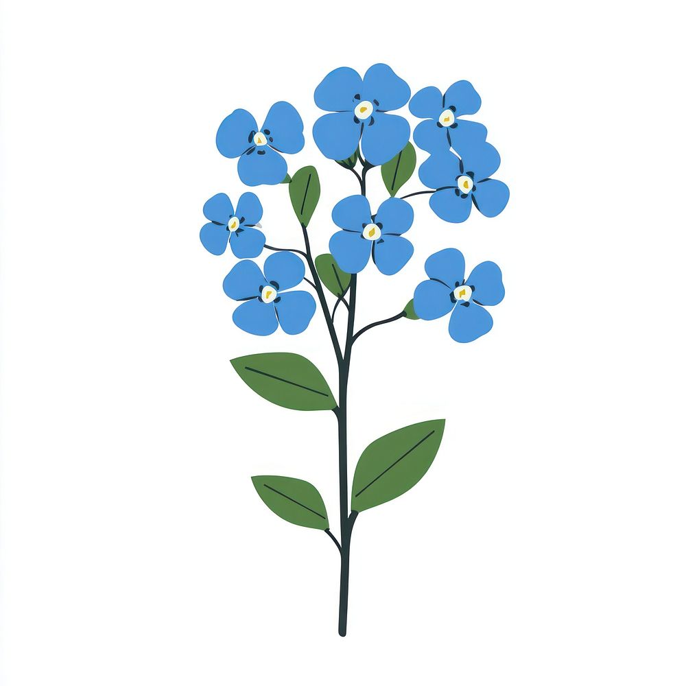 Blue Forget-Me-Not Cluster art illustration | Free Photo Illustration ...