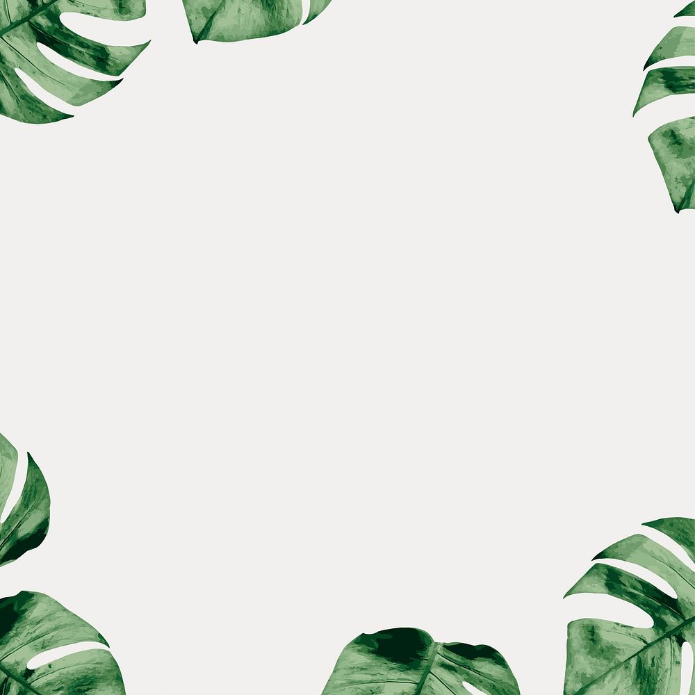 Green monstera leave border design | Free Vector - rawpixel