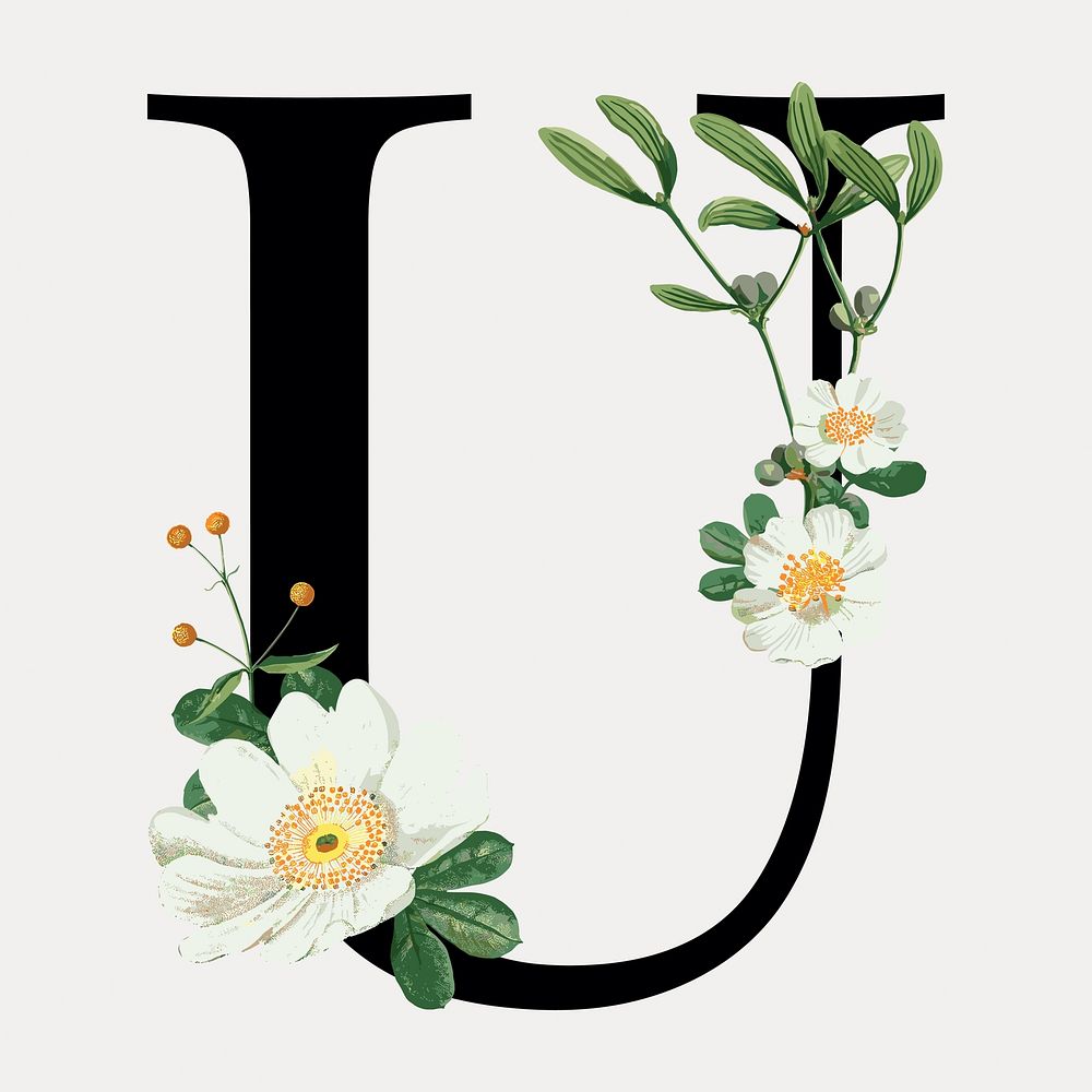 Floral letter U digital art | Free Vector - rawpixel
