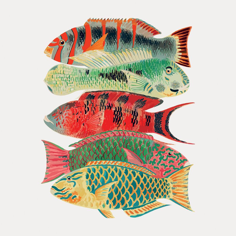 William Saville Kent Barrier Reef Images | Free Photos, PNG Stickers ...