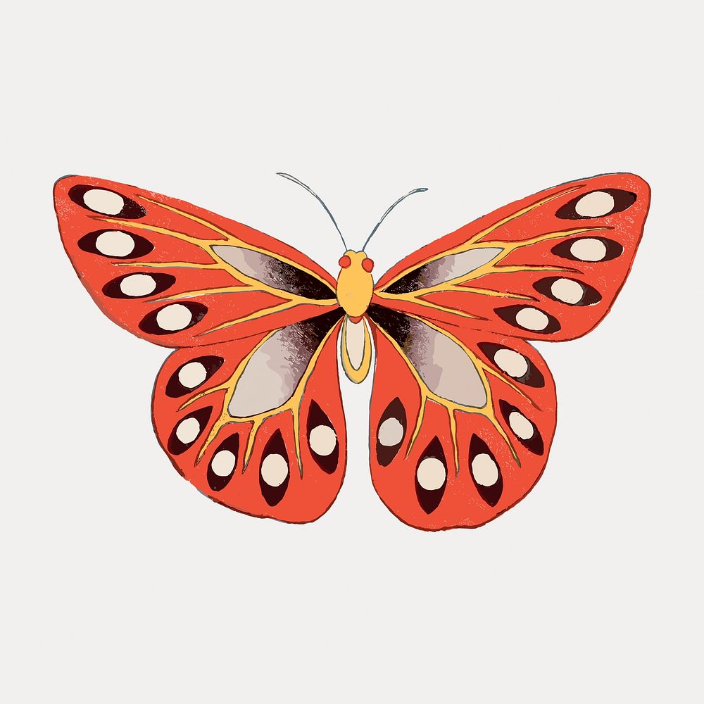 Orange butterfly sticker, vintage insect | Free Vector - rawpixel