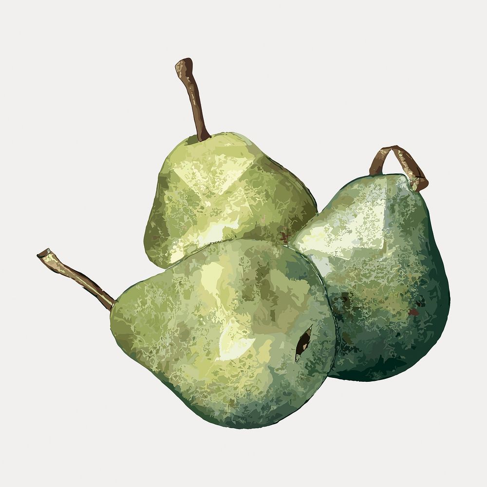 Green pear watercolor collage element, | Free Vector - rawpixel