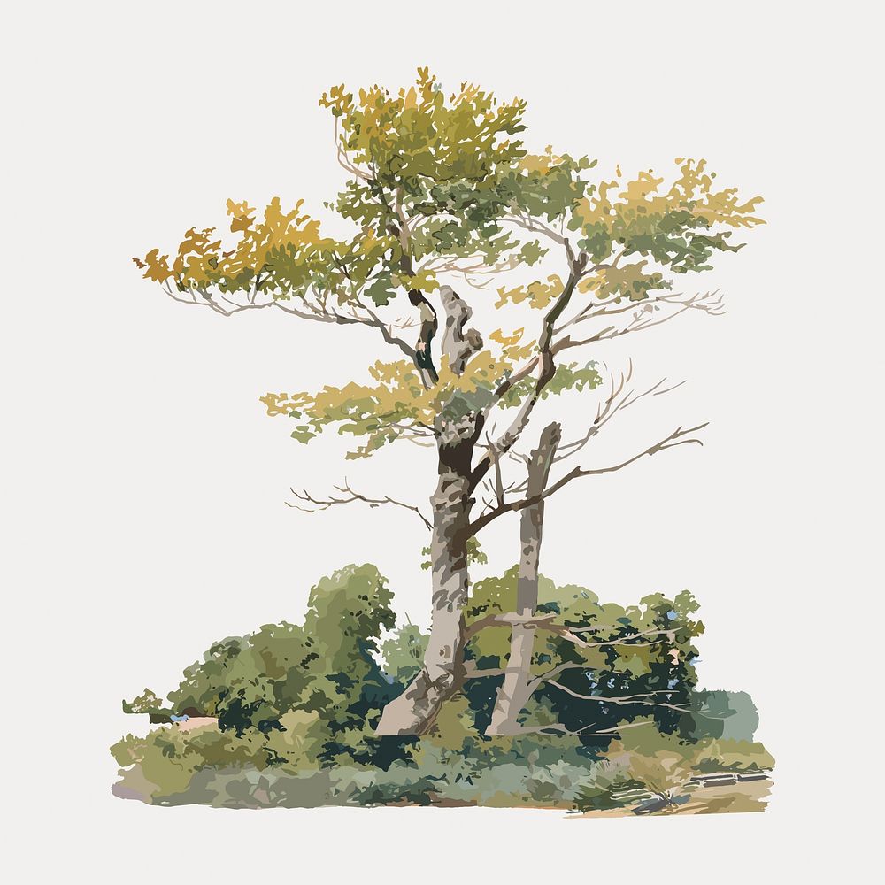 Forest watercolor collage element, vintage | Free Vector - rawpixel