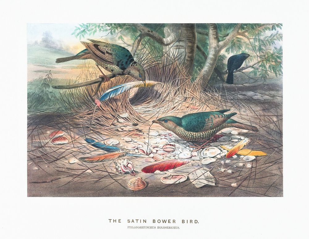 Animal Behavior Images | Free Photos, PNG Stickers, Wallpapers ...