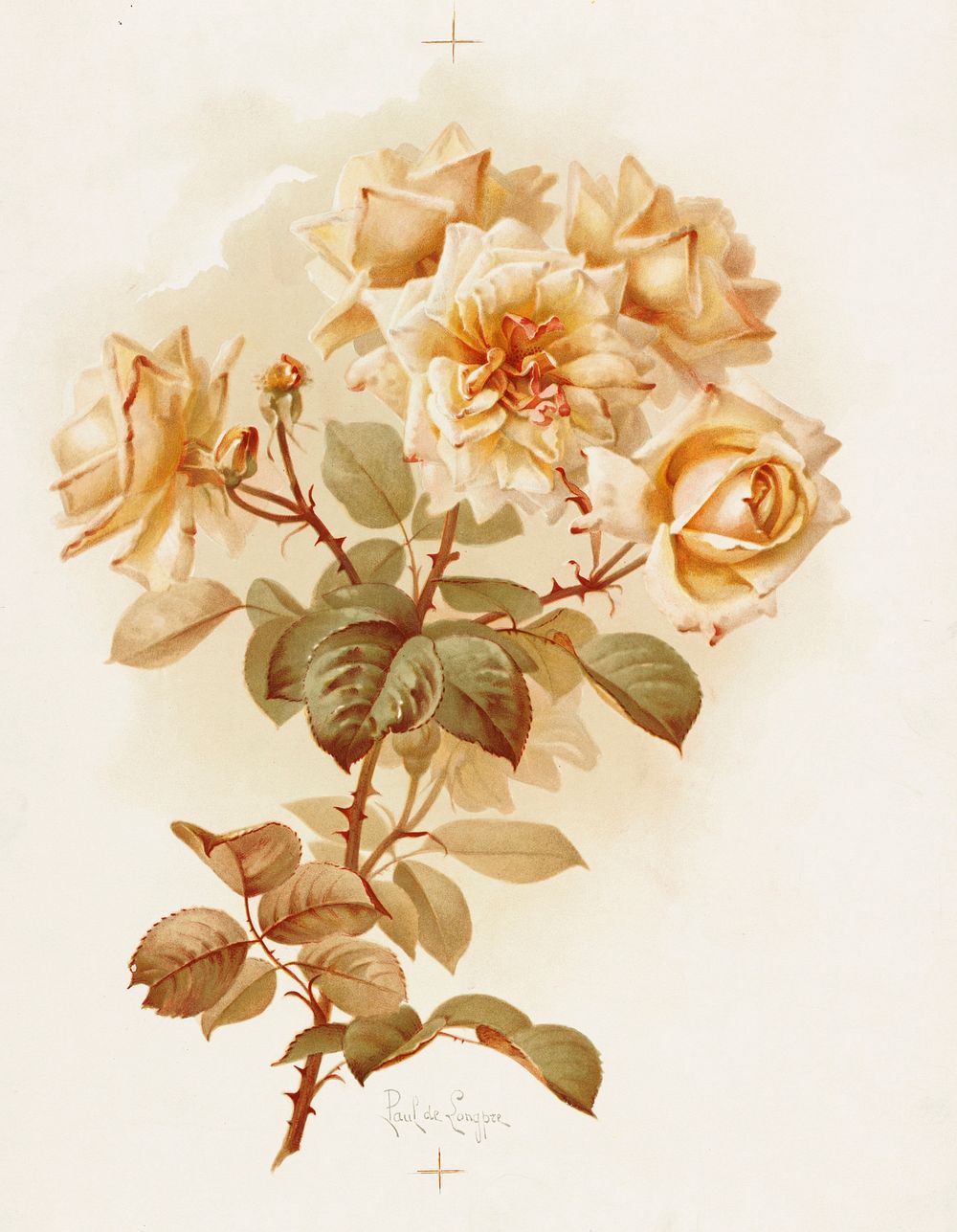 Yellow roses; Reve D'or roses | Free Photo Illustration - rawpixel