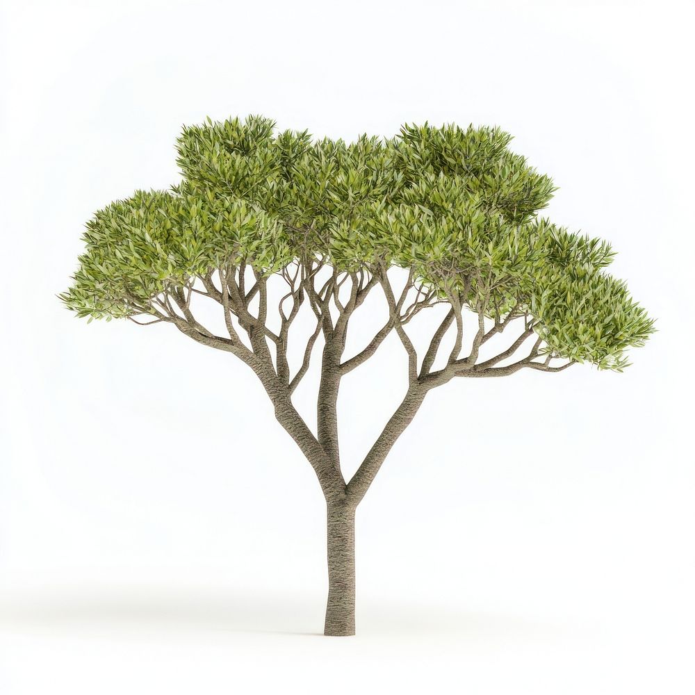 Real green big tree art | Free Photo - rawpixel