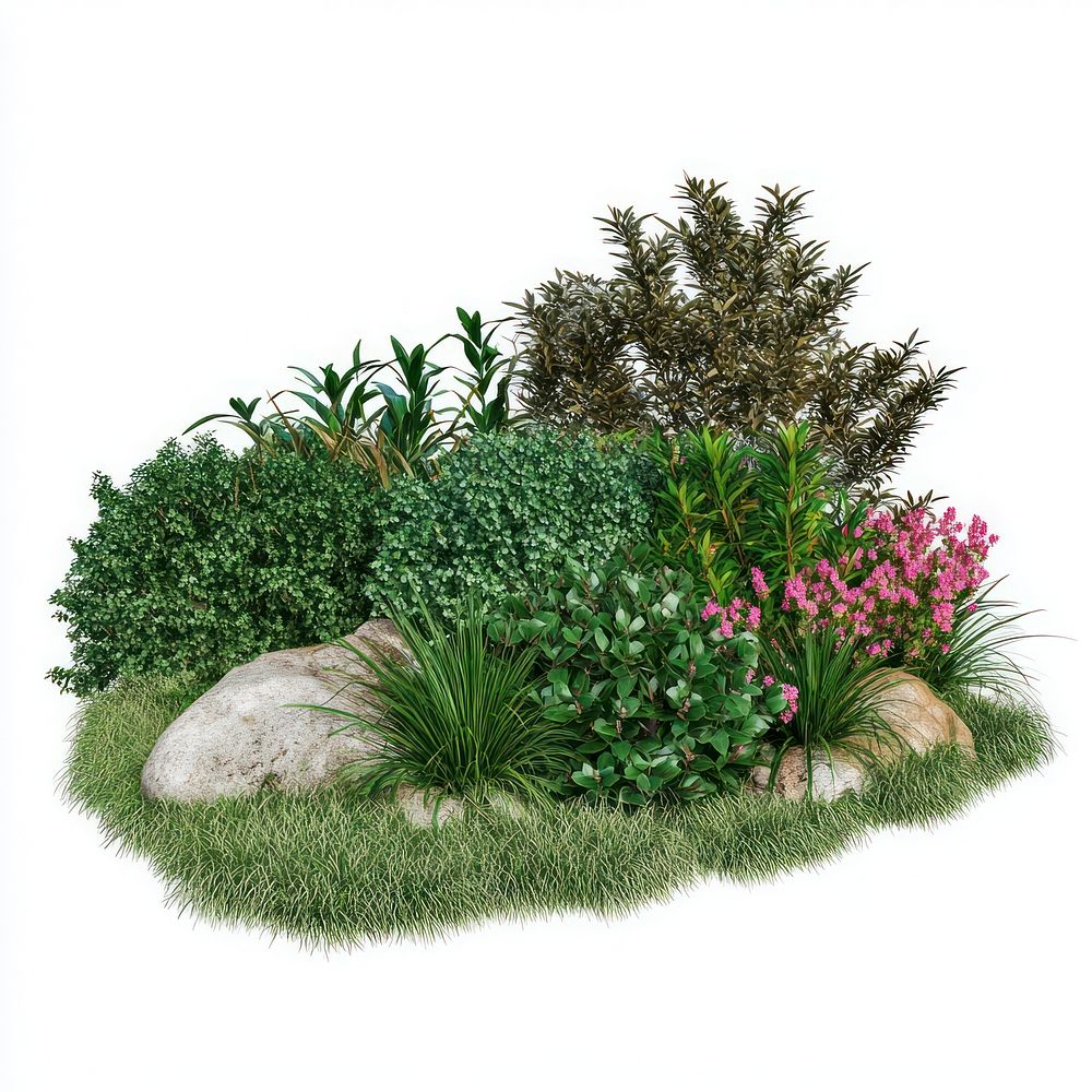 Group different bushes outdoors garden | Free Photo - rawpixel