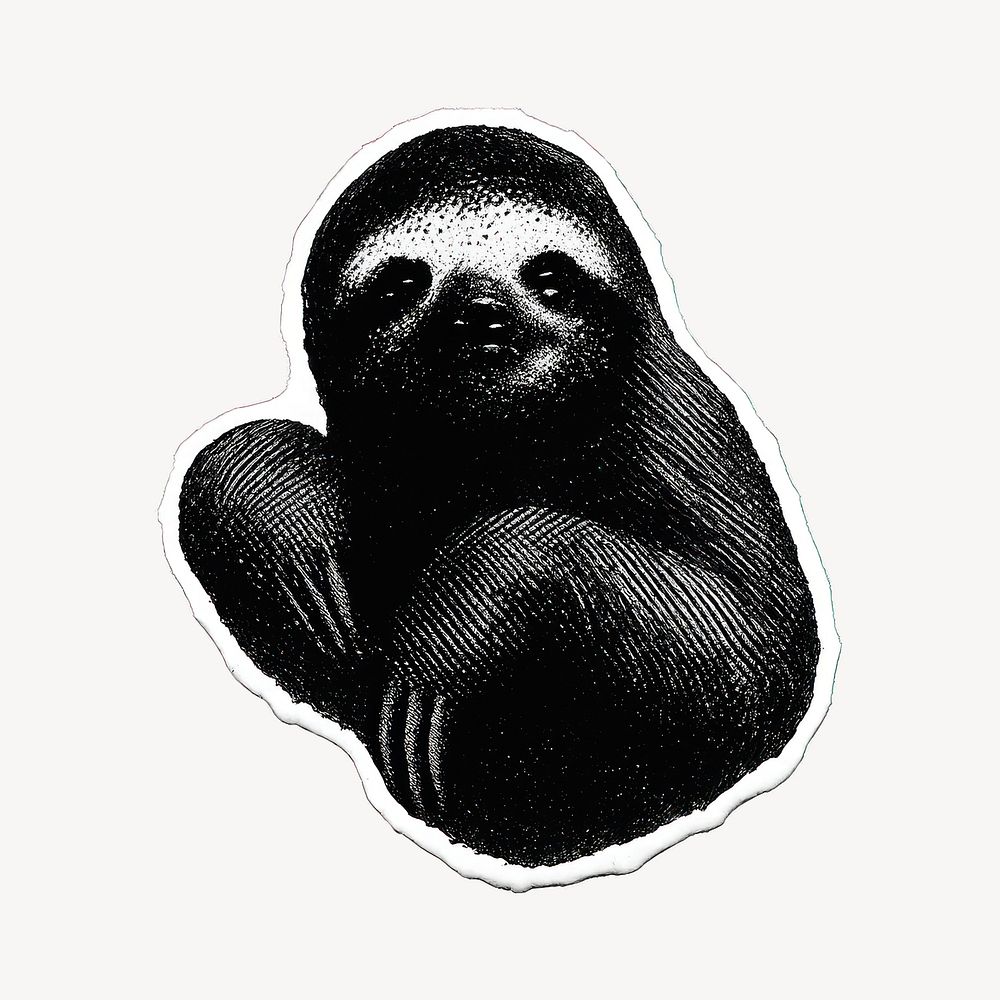 Vintage sloth illustration design | Free Photo Illustration - rawpixel