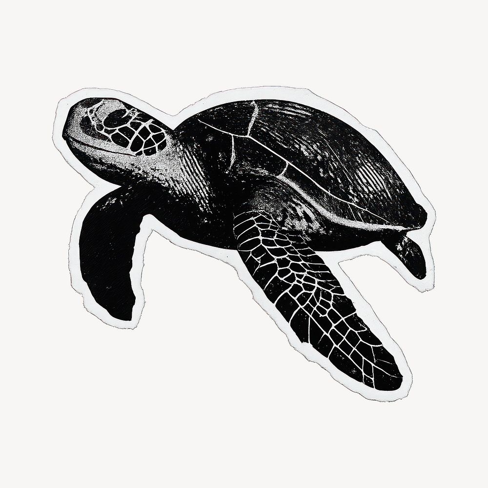 Vintage sea turtle illustration | Free Photo Illustration - rawpixel