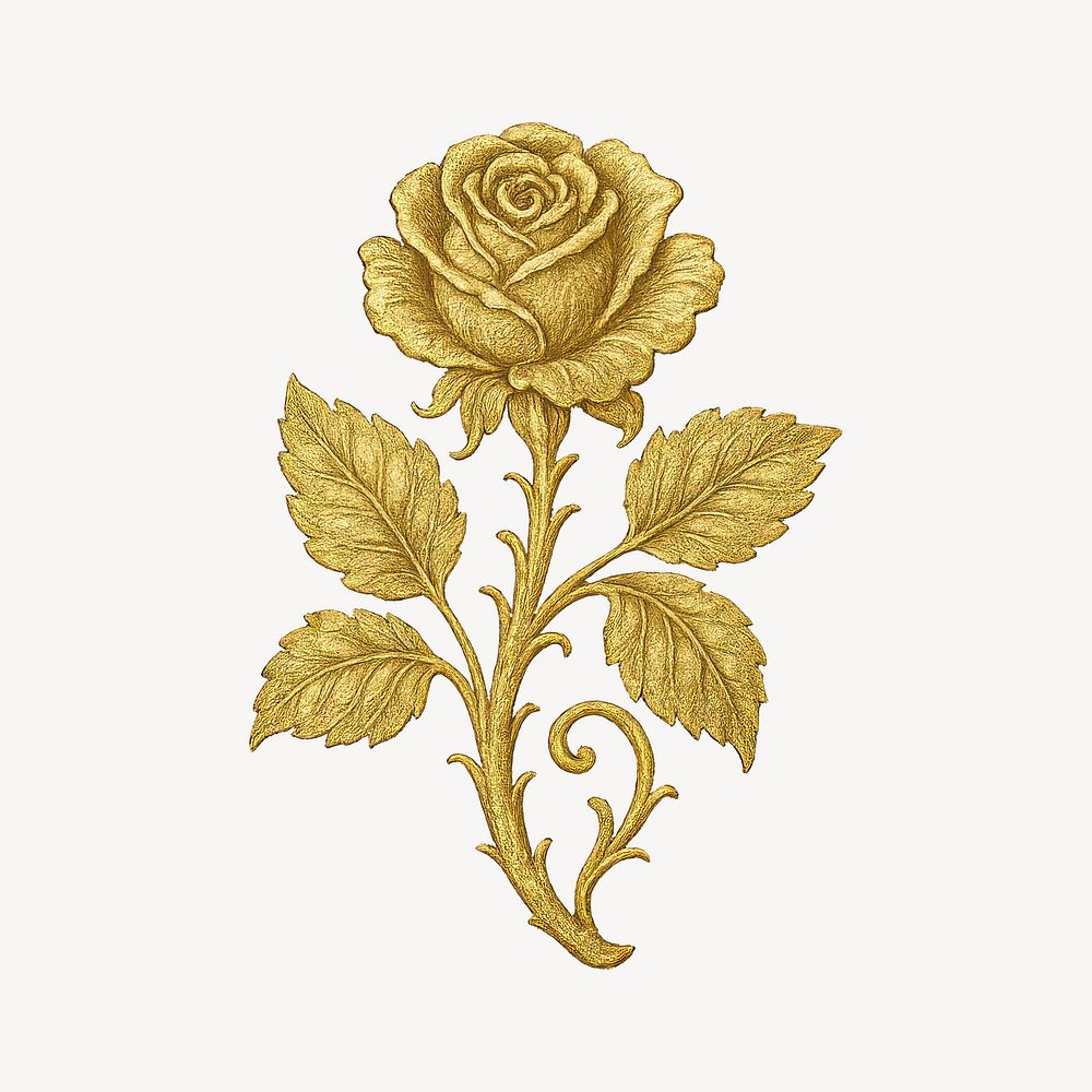 Elegant golden rose design | Free Photo Illustration - rawpixel