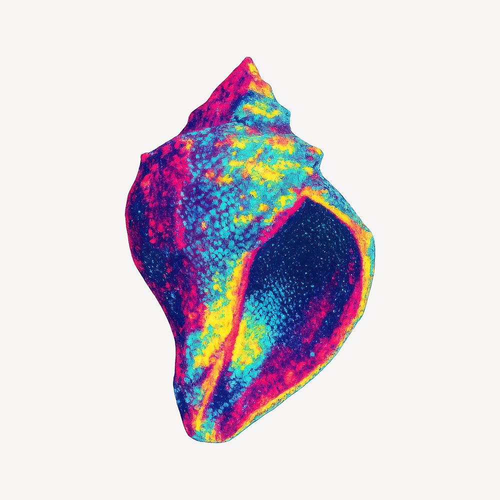 Vibrant psychedelic conch shell | Free Photo Illustration - rawpixel