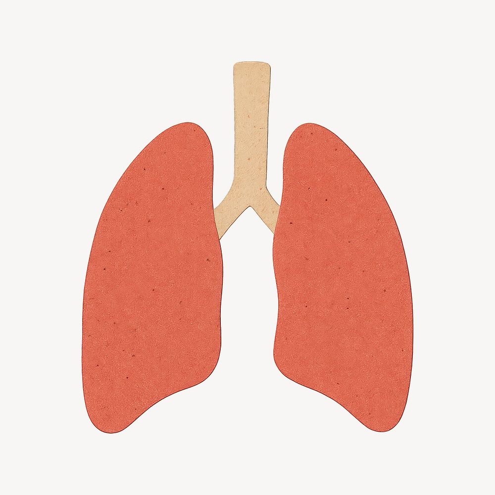 Minimalist lungs anatomy illustration | Free Photo Illustration - rawpixel