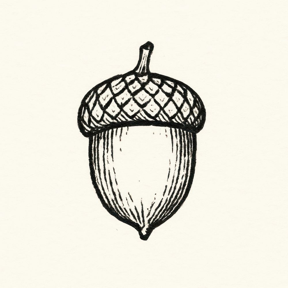 Vintage acorn illustration design | Free Photo Illustration - rawpixel